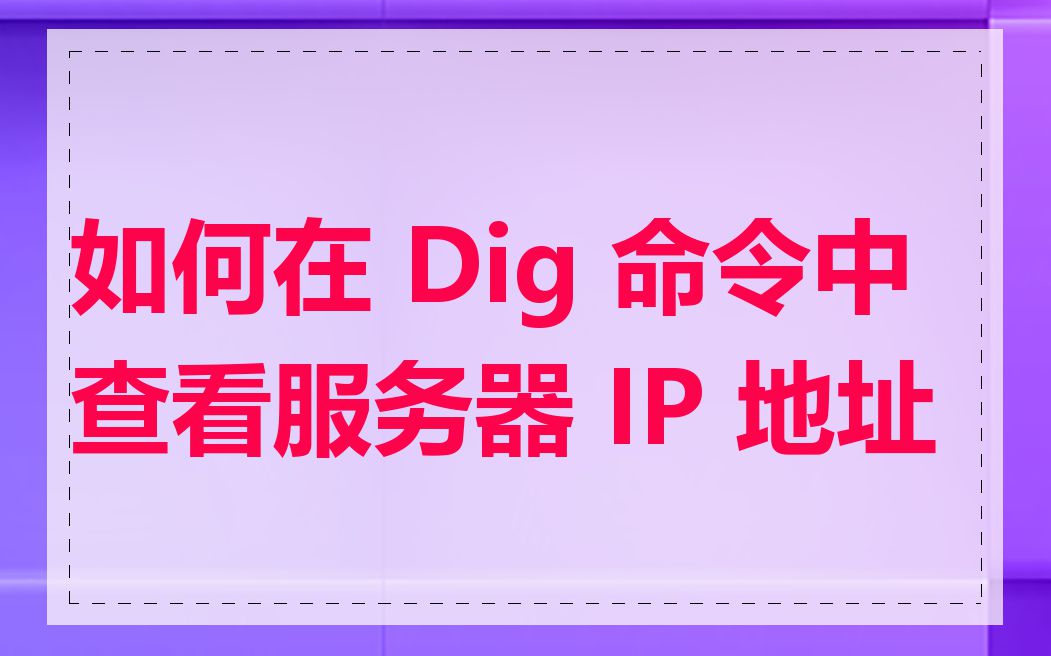 如何在 Dig 命令中查看服务器 IP 地址
