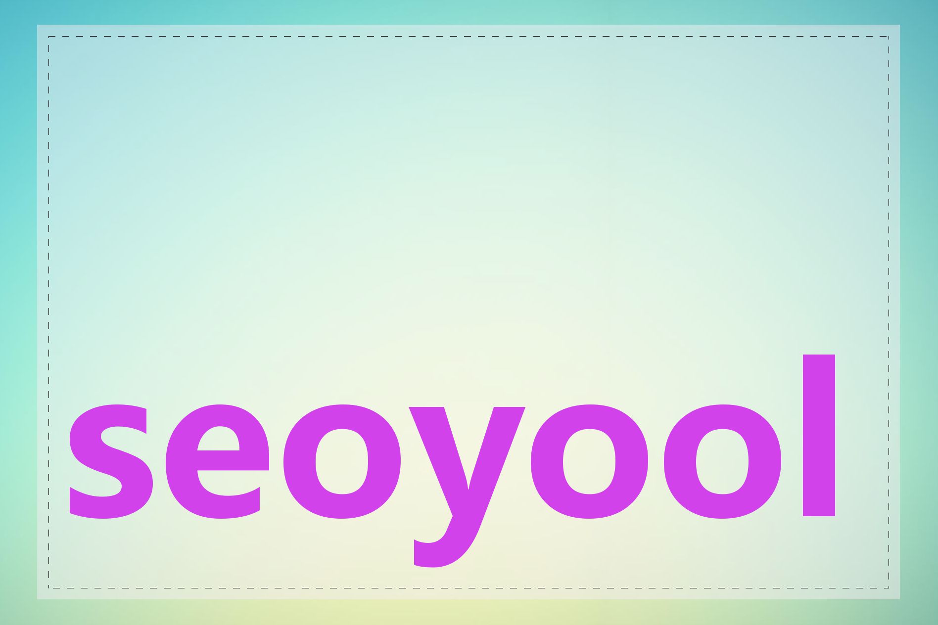 seoyool的采访视频